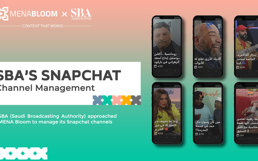 Projects Archive - Page 3 of 3 - MENA Bloom